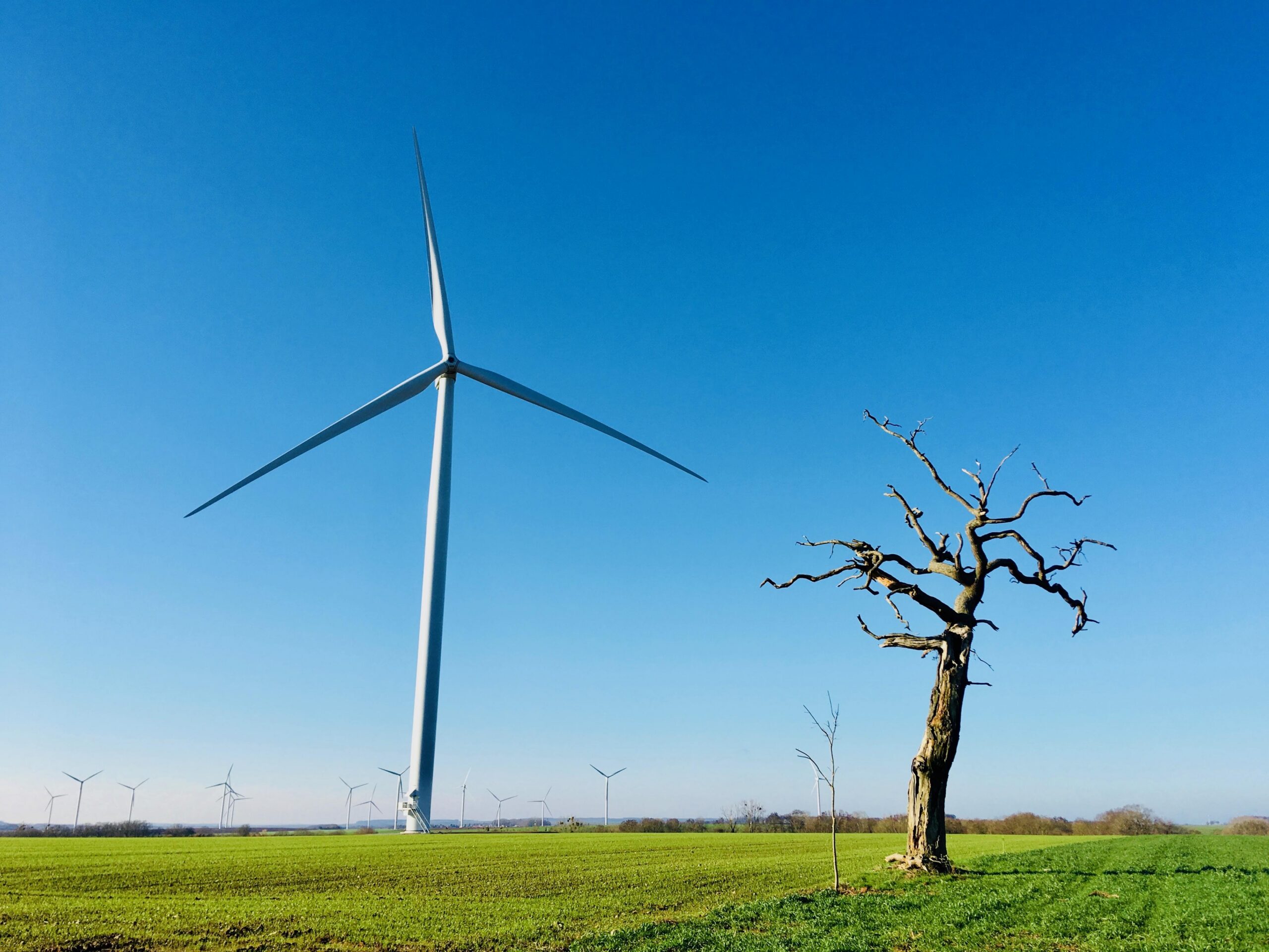 Onshore Wind Supply Chain Capability Assessment - everoze